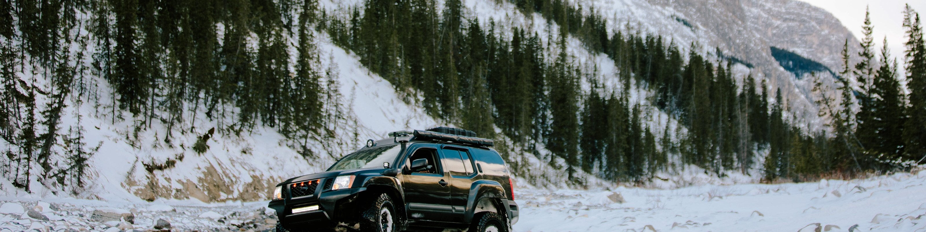 TRED NBCF Fundraising Event 2025 – TRED Australia